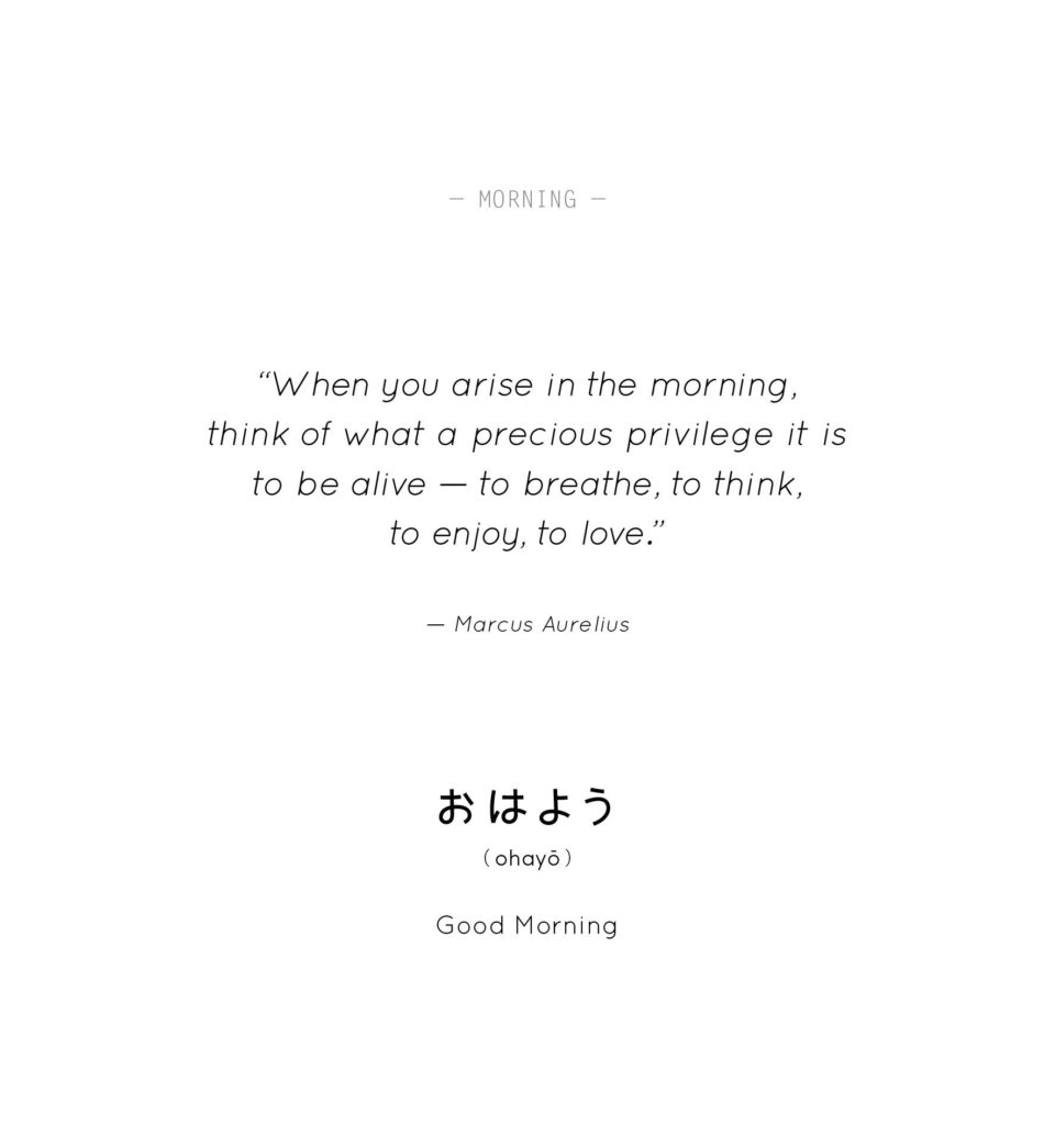 mochiko (book) デザイン・出版 | POMPETTE (デザインデュオ・ポンペット)